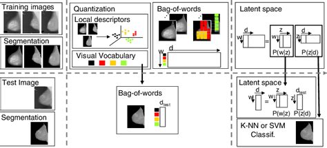 Schema Of The Learning And Classification Process The First Row Shows Download Scientific