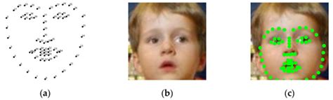 Algorithms Special Issue Ai For Cybersecurity Robust Models For Authentication Threat And