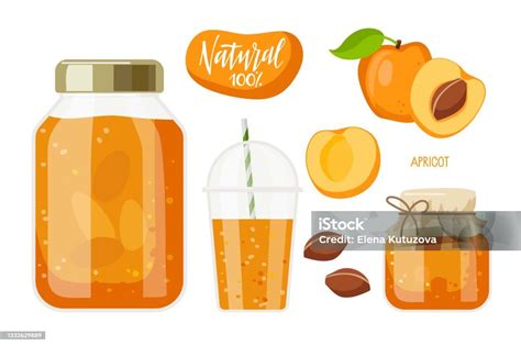 통조림 살구 항아리에 콩포트와 잼 또는 마멀레이드 유리에서 마시고 천연 100 라벨 통조림 과일 과일 보존 벡터 일러스트레이션 농부 시장 브랜딩 유기농 식품 템플릿 과일에