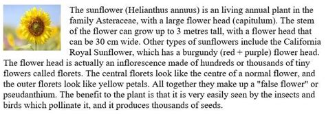 How To Align Images At Your Website NTU Library
