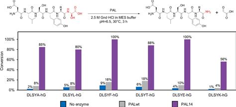 Computational Enzyme Redesign Enhances Tolerance To Denaturants For Peptide C Terminal Amidation