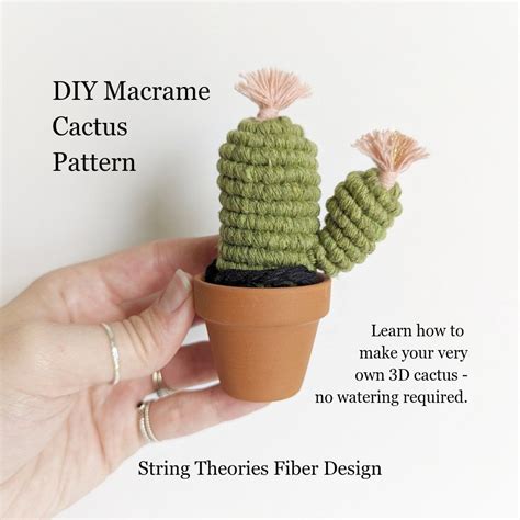 DIY Pattern Macrame D Sculpture Cactus Succulent Instructions Macrame Tutorial PDF Learn