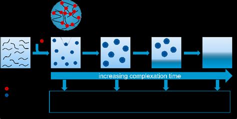 The Principle Of Complex Coacervation Using A Poly Anionic Acid Sodium Download Scientific