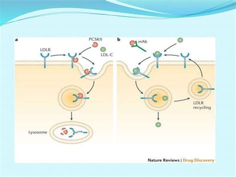 Pcsk 9 Inhibitors Pptx