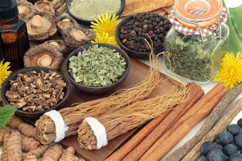 Unleashing The Power Of Adaptogens 10 Astonishing Benefits You Need To