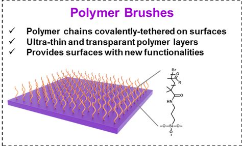 Material Systems 界面功能高分子材料团队 Interface Polymernimteaccn