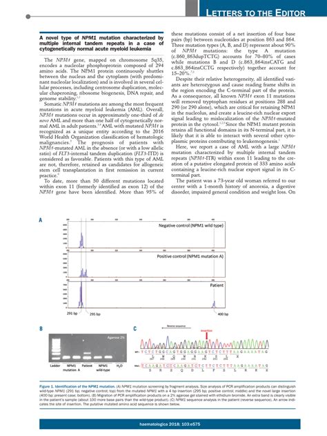 Pdf A Novel Type Of Npm1 Mutation Characterized By Multiple Internal Tandem Repeats In A Case