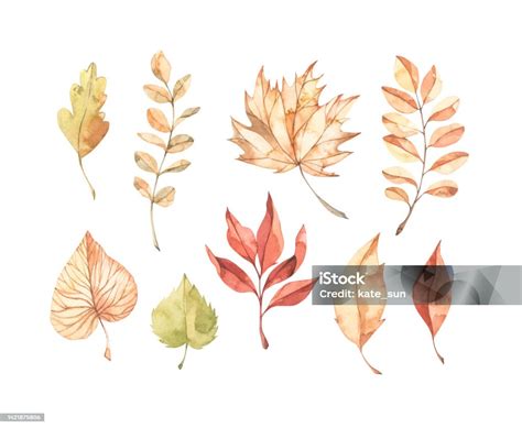 손으로 그린 수채화 벡터 일러스트레이션 가을 잎 도토리 열매 가문비 나무 가지 세트 숲 디자인 요소 안녕하세요 가을 계절 광고 초대장 카드에 적합합니다 수채화에 대한 스톡