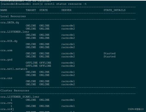 Oracle Rac 集群oracle 集群中的实例 Csdn博客