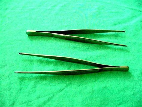 Archivo Disección Con Y Sin Dientes  Ecured