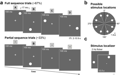 Sequence Paradigm To Probe Successor Like Representations A