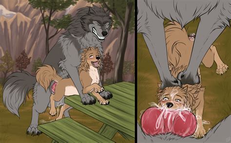 Rule 34 Alpha And Omega Animal Genitalia Animal Penis Anus Balls Big