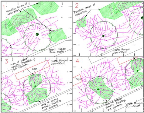 Tree Roots Survey Malcolm Hughes