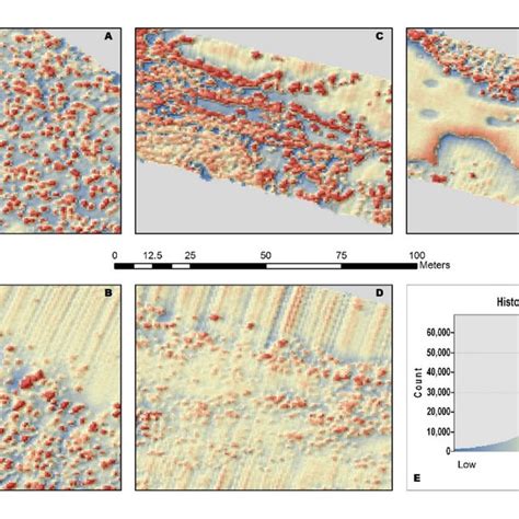 Topographic Position Index TPI Maps The Color Scale Applied To The Download Scientific
