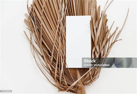 여름 문구 최소한의 모형 빈 카드 야자수 잎 베이지 색 질감 테이블 배경 웨딩 모의 플랫 레이 상단 보기 봉투에 대한 스톡 사진 및 기타 이미지 Istock