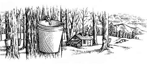 Hearth Cooking Maple Sugaring Time The Monadnock Center For History