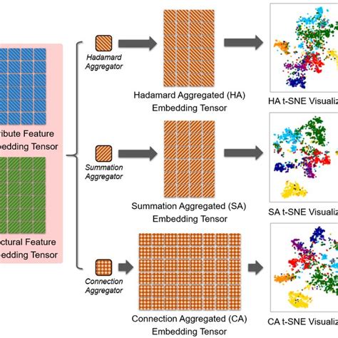 Schematic Diagram Of Multivariate Relationships In A Social Network An Download Scientific