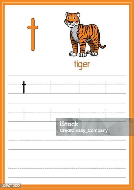 A4 용지 크기에 연습 Abc를 추적하는 학습 어린이를위한 알파벳 문자 T 소문자와 호랑이의 벡터 그림 인쇄 할 준비가 외형선에 대한 스톡 벡터 아트 및 기타 이미지