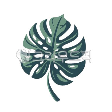 잎 몬스테라식물 몬스테라일러스트 일러스트 식물 사진이미지일러스트캘리그라피 문어냥작가