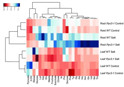 Heatmap Analysis Of Detected Primary Metabolites Heatmap Download