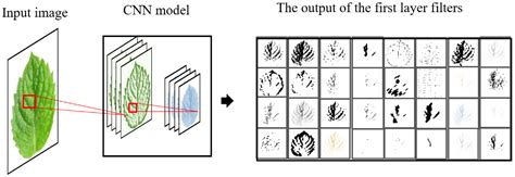 An Ai Based Approach For Medicinal Plant Identification Using Deep Cnn Based On Global Average
