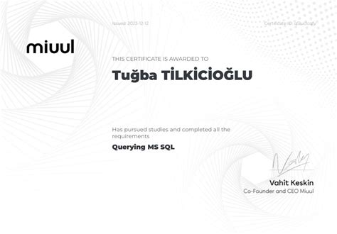 Tugba Tilkicioglu On Linkedin Mssql Datascience Sql Sqlqueries 10 Comments