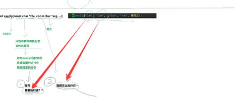【linux】【实战向】linux 进程替换避坑指南：从理解 Bash 阻塞等待，到亲手实现能执行 Lscd 的 Shell Csdn博客