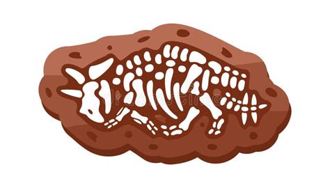 Triceratops Fossils Skeleton Triceratops Fossil Bones Dinosaur Skeleton Dinosaur Bones With