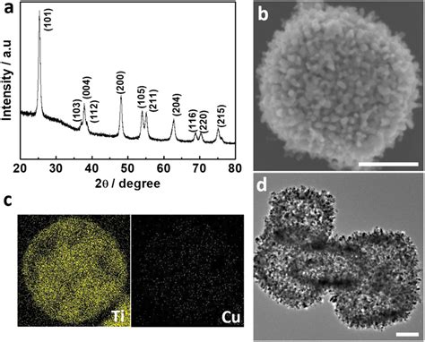 PC TiO D Cu TCPP Porous Cages A XRD Pattern B SEM Image C Download Scientific