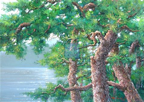 소나무에 있는 김안진님의 핀 풍경 그림 자연 사진 풍경화