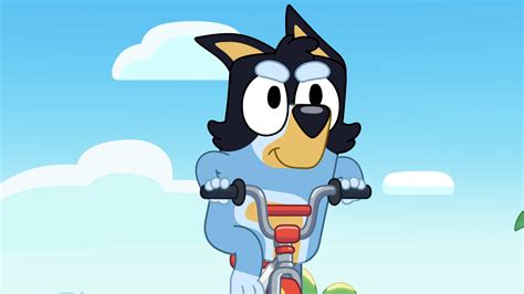 Post Apis Artist Bandit Heeler Bingo Heeler Bluey Series Bluey Heeler Judo Explore