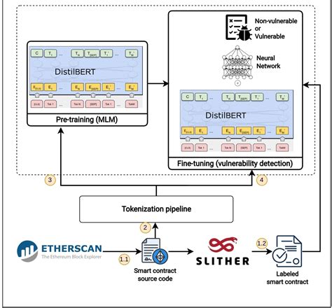 Contextual Language Model And Transfer Learning For Reentrancy Vulnerability Detection In Smart