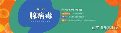 什么是『血管钙化』？治疗方法有哪些？ 知乎