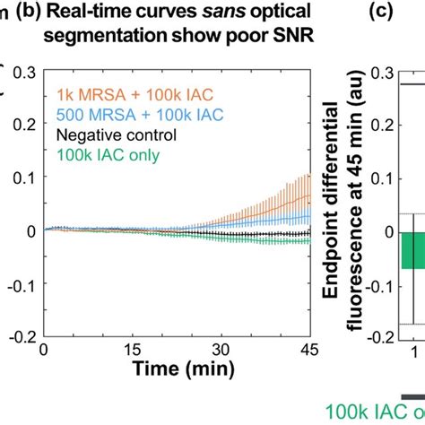 Optical Segmentation Improves Signal To Noise Ratios Of Nucleic Acid