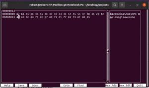How To Edit Binary Files On Linux Baeldung On Linux