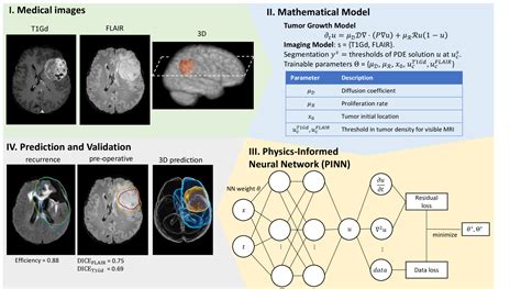 Personalized Predictions Of Glioblastoma Infiltration Mathematical Models Physics Informed