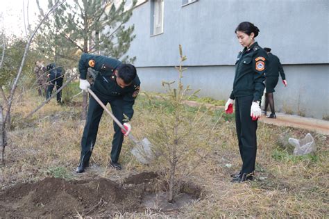 Дотоодын цэргийн штаб