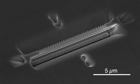 Exploring The Wonders Of Nanophotonic Cavities