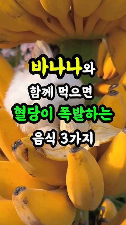 바나나와 절대 같이 먹지 마세요 혈당 폭탄 만드는 최악의 조합 3가지 음식 건강 Youtube