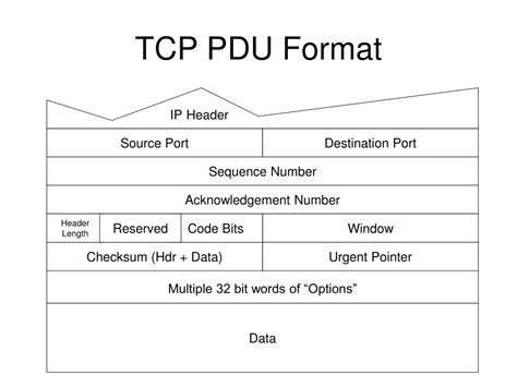 PPT Networking PowerPoint Presentation Free Download ID