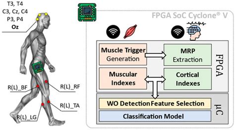 Sensors Special Issue Wearable Sensors In The Evaluation Of Gait And Balance In Neurological