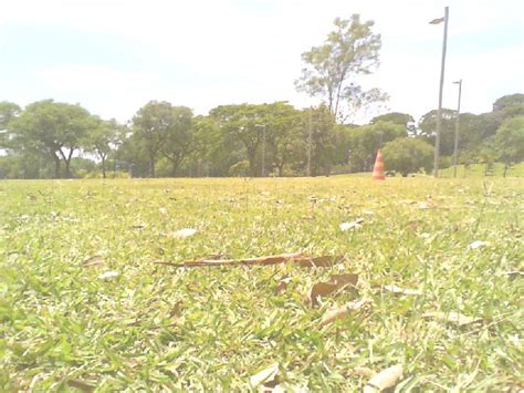 Cone Dataset Object Detection Model By University Of Sao Paulo