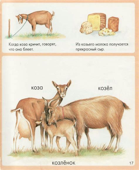 Домашние животные и их детеныши Интересный контент в группе Корабль Знаний Российский