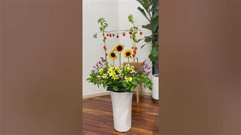 초가을 꽃 성전꽃꽃이 꾳 심과함께 해바라기 촛불맨드라미 레몬잎 꽈리 고추 심과함께 9월꽃 Youtube