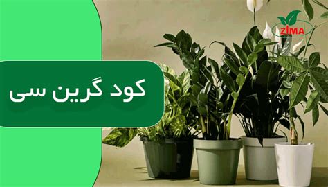 آشنایی با کود گرین سی