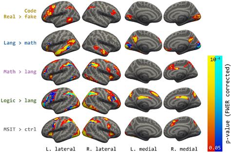 Computer Code Comprehension Shares Neural Resources With Formal Logical