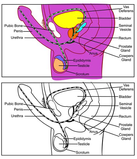 7th Grade Lesson Plans