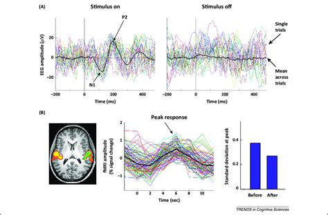 Measuring Neural Variability A Auditory Evoked Responses To Download Scientific Diagram