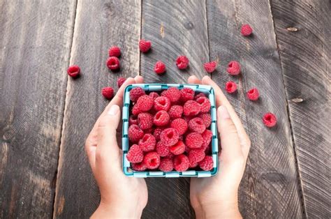 Setting Up A Raspberry Pi As A Web Client Kiosk For Tv Display Portalzine Nmn Development