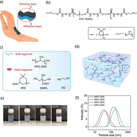 A Schematic Structure Of A Strain Sensor With A Top Sensing Layer And